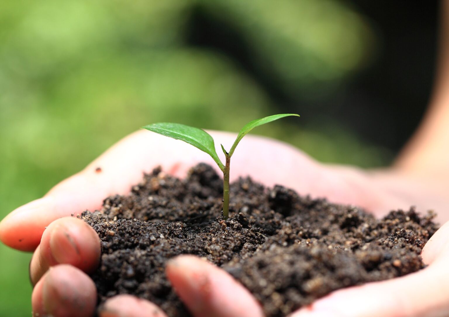 Environmental Protection: 6 Essential Reasons Why It Matters - Haelthy ...