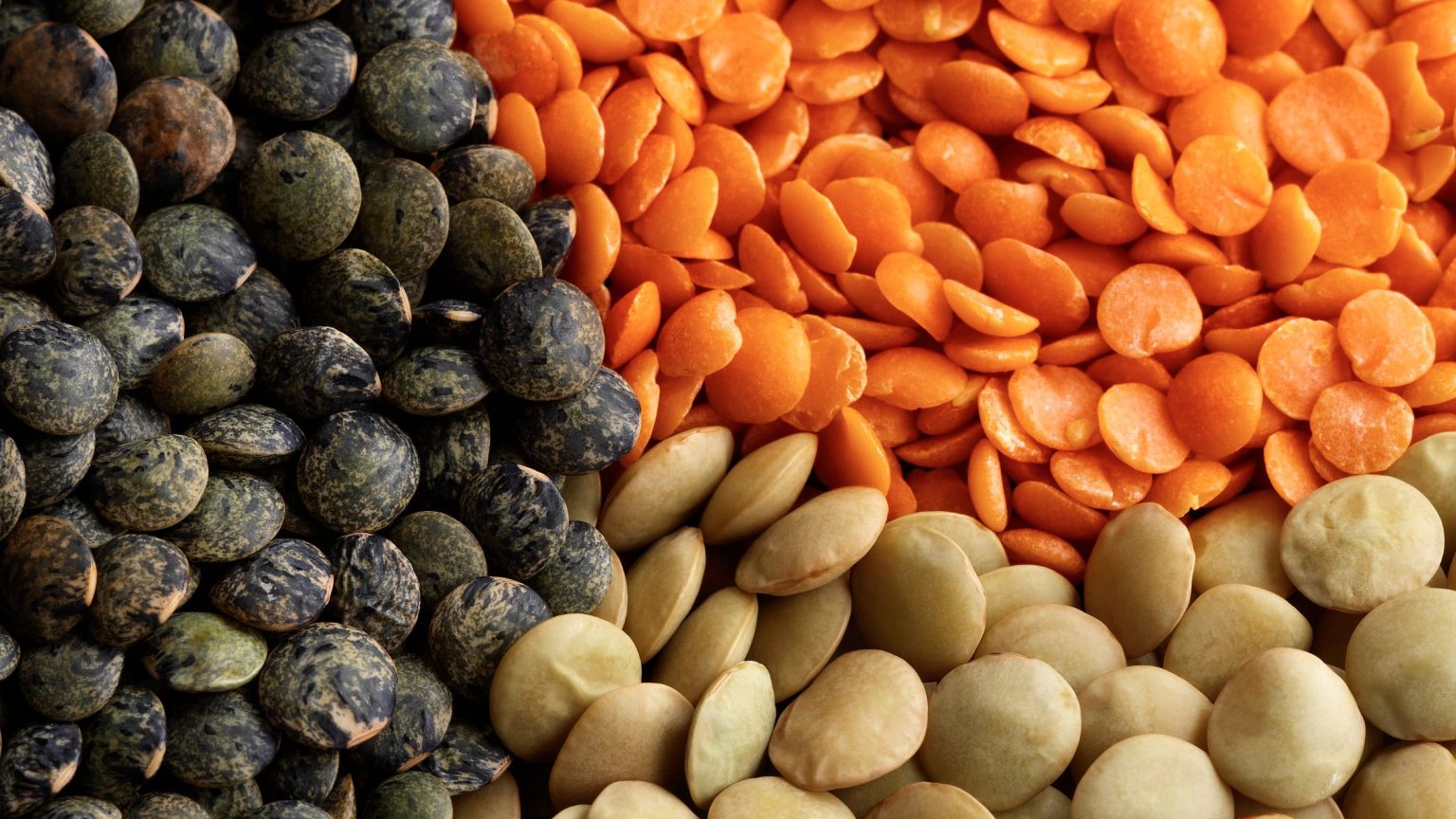 Nutrient Dense Food: Discover the Top 50 Power-Packed Foods for Optimal ...