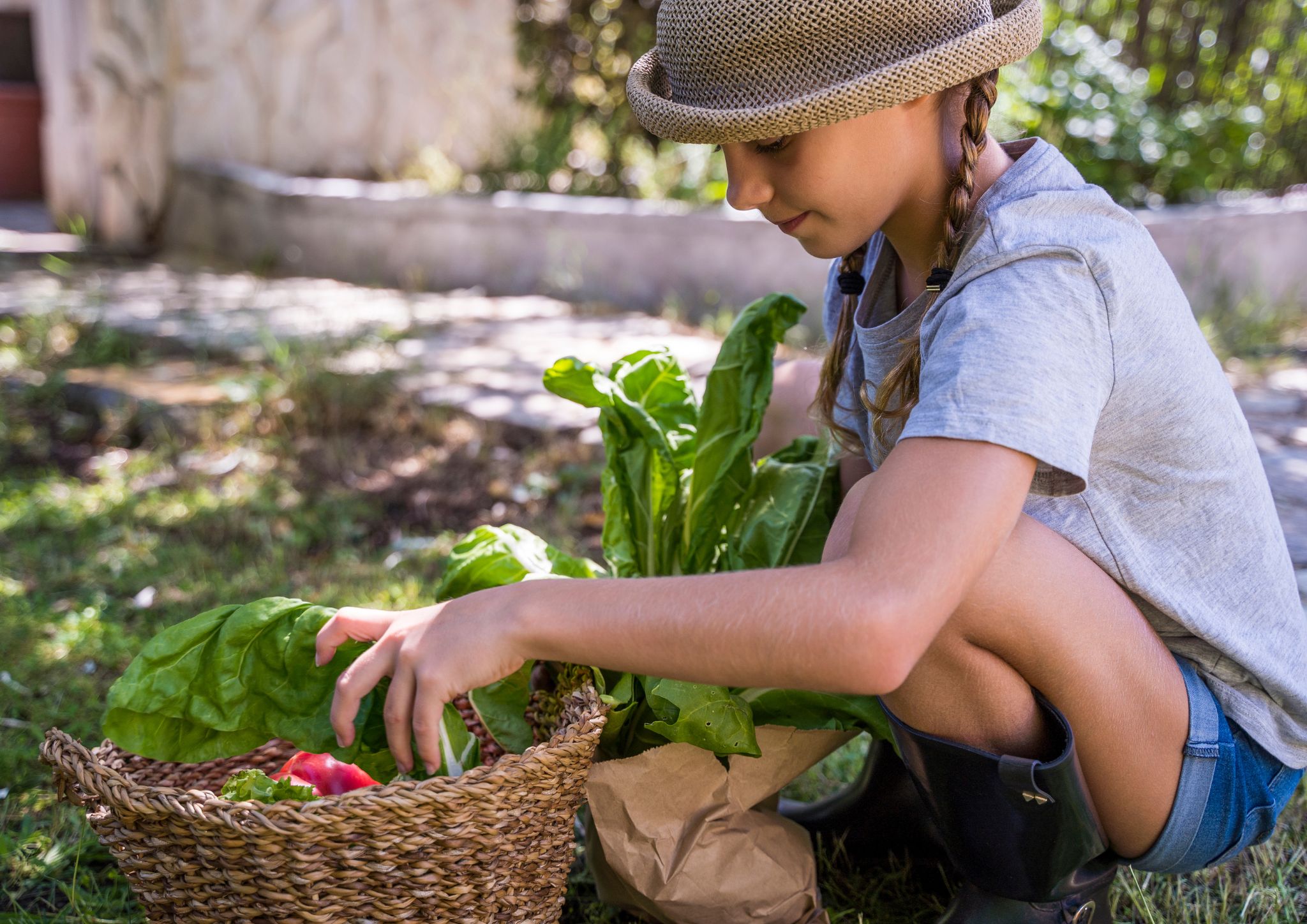 Organic Foods: some Reasons Why They’re Worth the Hype (or Not ...