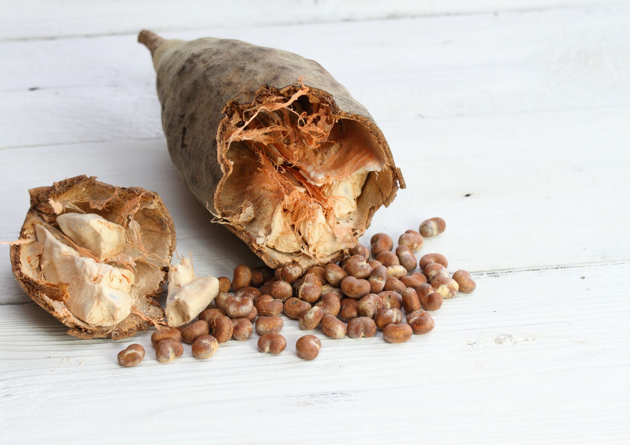 Health Benefits of Baobab Powder: 20 Amazing Reasons to Try This ...