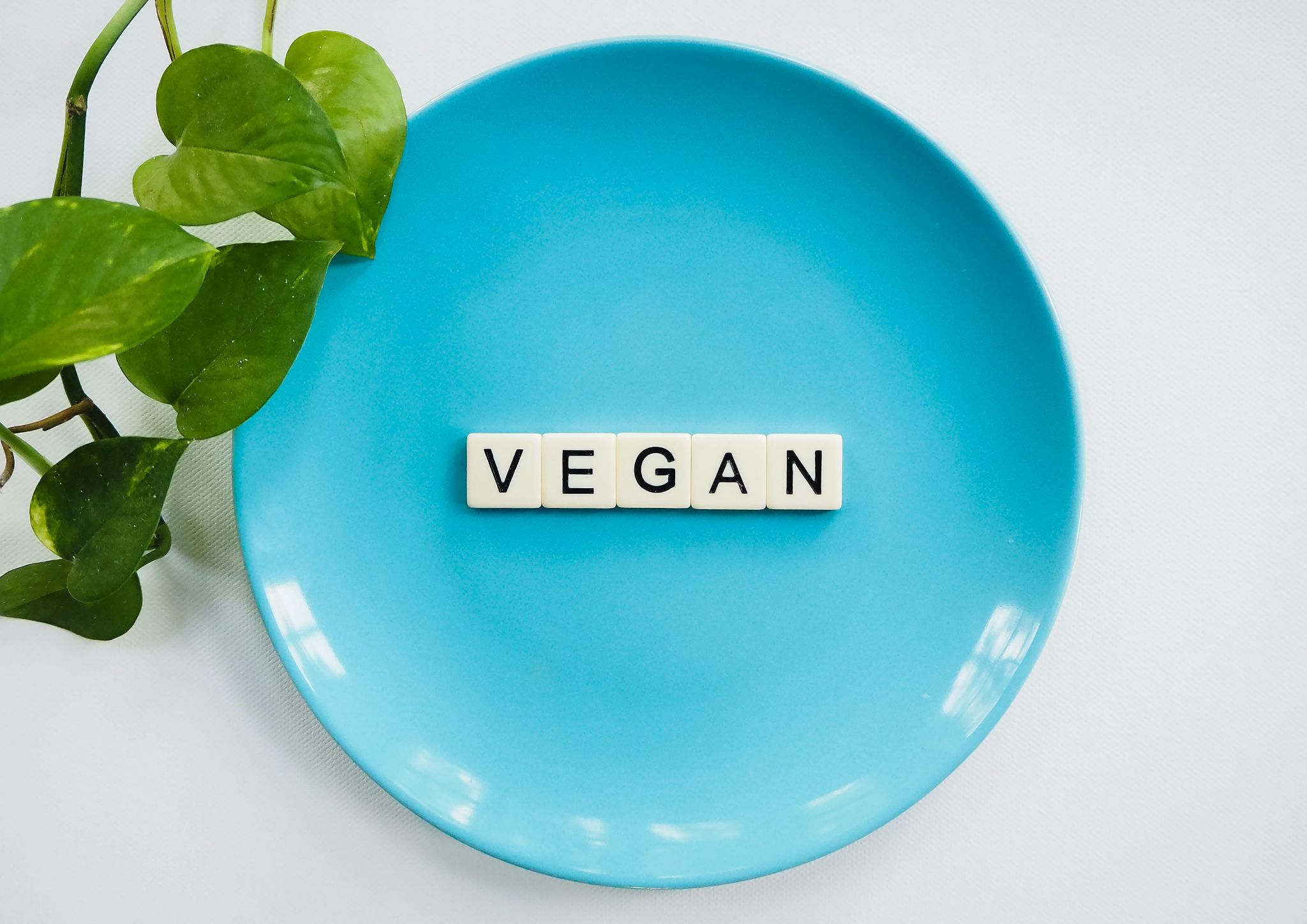 Veganism Explained: What It Means to Be Vegan-Friendly or Embrace the ...